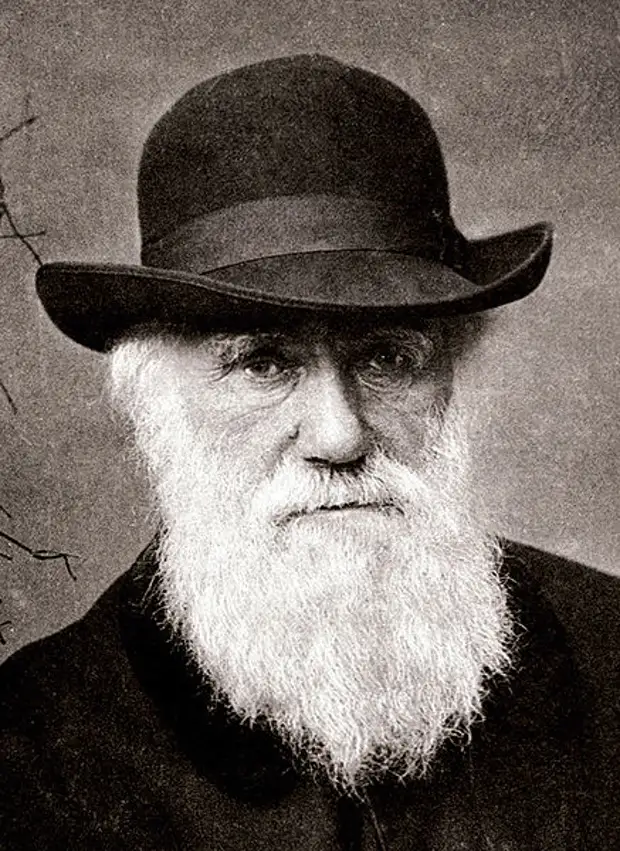 Mifananidzo nekukumbira Charles Darwin