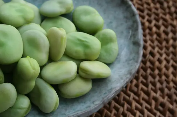 Kacang: tumbuh dan makan