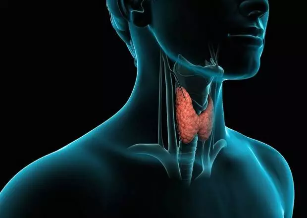De ce ai nevoie pentru sănătatea tiroidei?