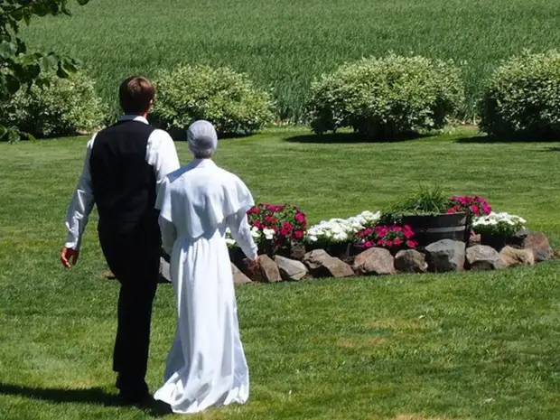 15 rastiyên balkêş li ser Amish - yek ji hindikahiyên olî yên herî navdar