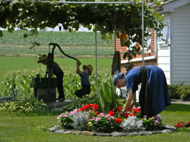 15 rastiyên balkêş li ser Amish - yek ji hindikahiyên olî yên herî navdar