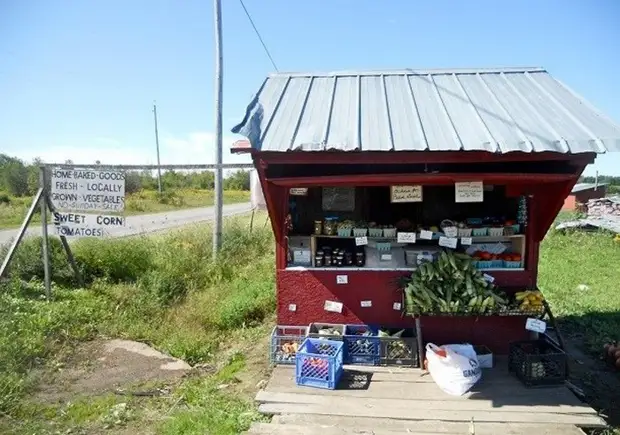 15 interessante fakta om Amish - en af ​​de mest berømte religiøse minoriteter