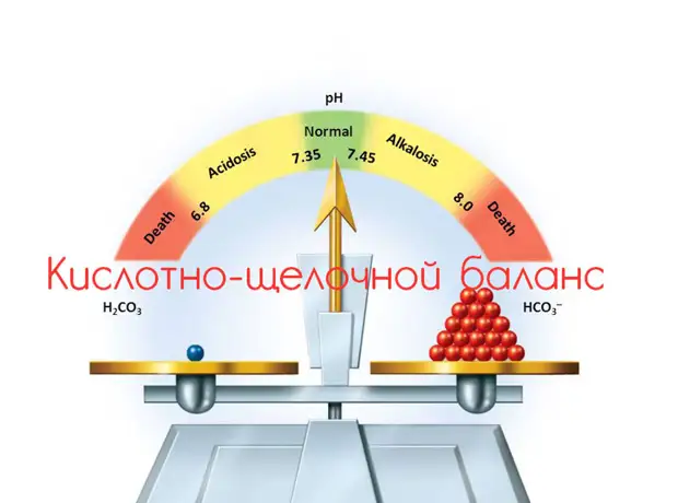 Acid-base balance: Daim ntawv teev cov khoom noj los ntawm qib acidity 254259_1