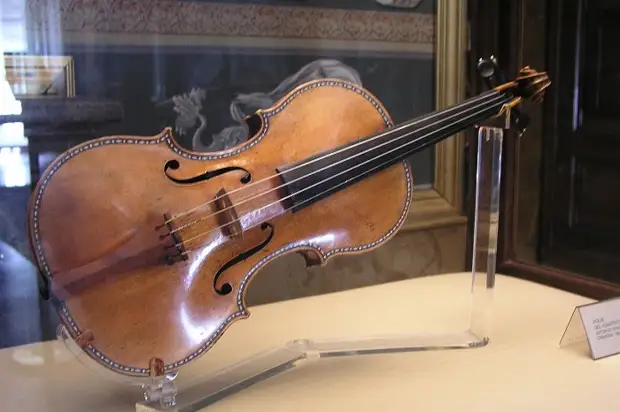Stradivarius fayolini. | Fọto: wpr.org.