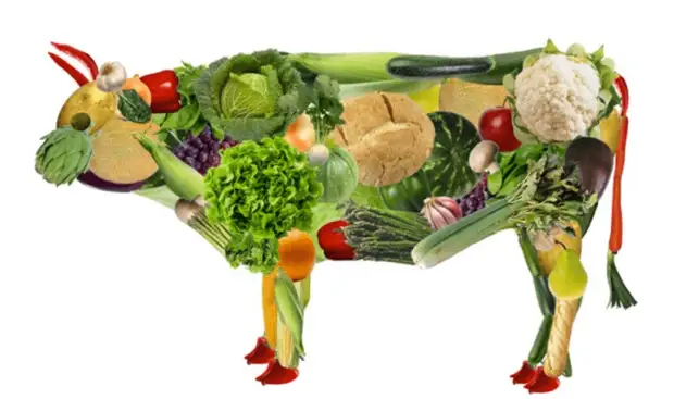 En vegetarisk kost är hälsosammare än veganer, veganer och köttätare, myter, kött