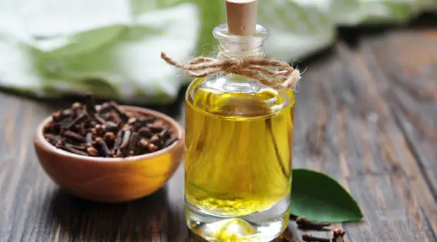 Tincture Cengkeh Cina trik Dua sendok cengkéh garing dituang ku cai tiis tur infused salila tilu poé. Henteu kedah caah, tingkat cai kedah rada nutupan bungbu. Dina dinten katilu bakal aya solusi coklat poék dina gelas: éncér ku cai haneut dina nisbah 1/1 sareng kekemu. Urang Cina nyarioskeun sababaraha dinten cekap.