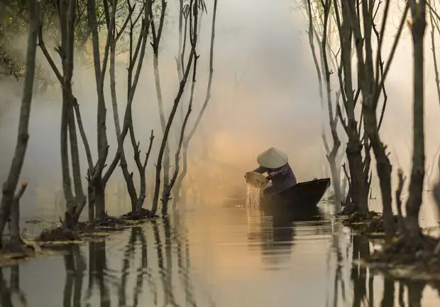 Eng Auswiel vun de beschte Fotoen publizéiert vum National Geographic Magazin am Januar 2017