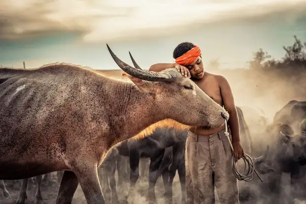 In seleksje fan 'e bêste foto's publisearre troch it tydskrift National Geographic yn jannewaris 2017