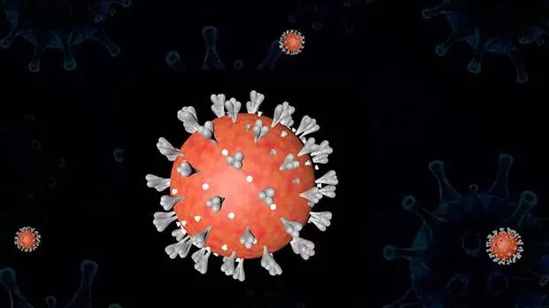 Zvese nezve coronavirus - muzvikamu zvidiki