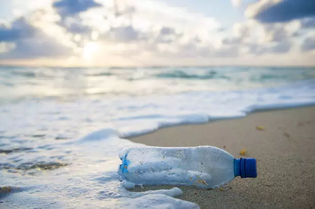 Her gün insan vücuduna ne kadar plastik giriyor?