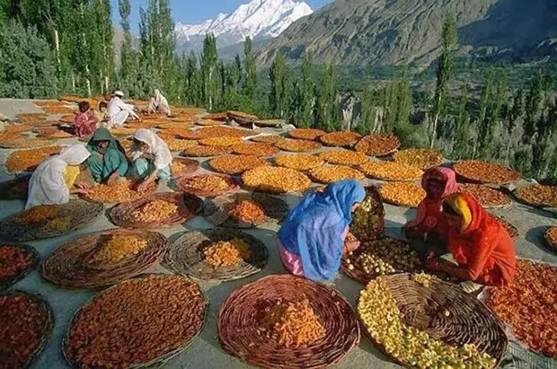 Hunza rudzi chiitiko