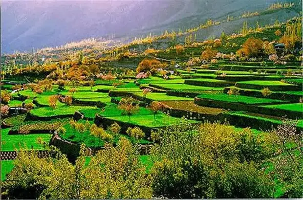 Hunza ẹya lasan