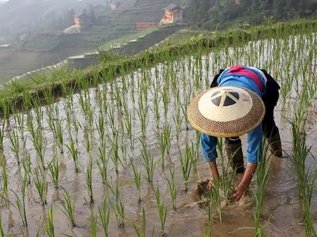 Ang katapusan nga mga babaye sa China nga adunay lotus nga mga bitiis