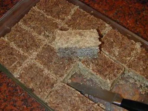 Pemmican κάντε το μόνοι σας