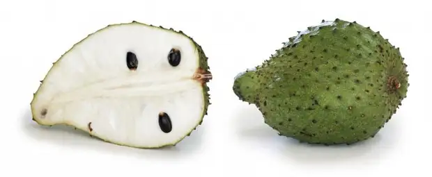 ໝາກ Guanabana ເຕີບໃຫຍ່ຢູ່ໃສ