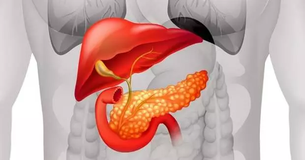 Mga hormone sa pancreatic - mga gimbuhaton ug mga bahin sa insulin ug uban pa