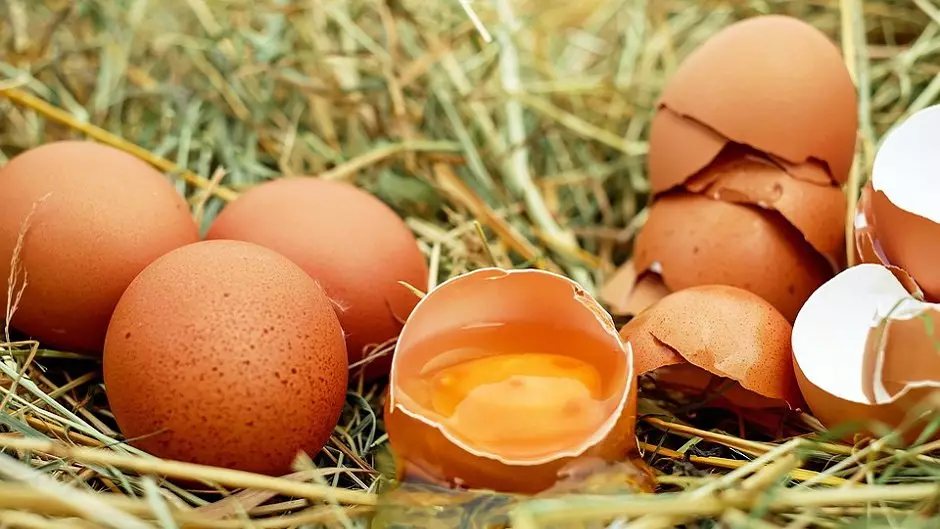 5 infezzjonijiet fatali minn ikel tajjeb għas-saħħa