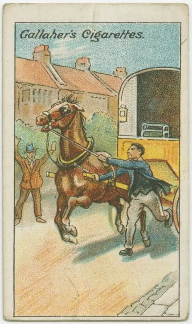 cartes_cheval_1