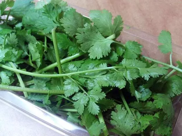 Awọn anfani ti cilantro fun ara