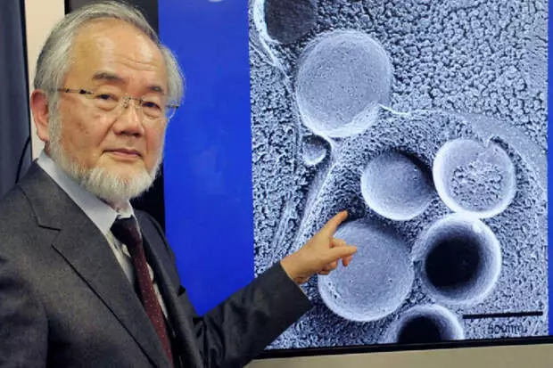 Laureati i Çmimit Nobel 2016 Yoshinori Osumi vërteton përfitimet e agjërimit