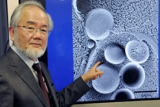 Nositel Nobelovy ceny za rok 2016 Yoshinori Osumi dokazuje výhody půstu