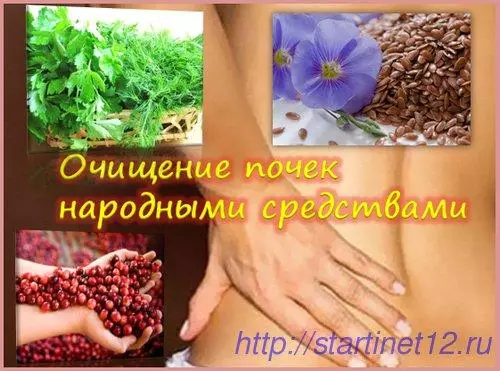 Халықтық емдеу әдістерімен бүйректі тазарту