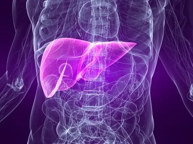 15 dejstev, ki jih morate vedeti o hepatitisu