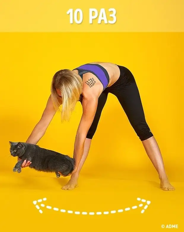 Gymnastique pour chats : prenez un chat et prenez une position allongée