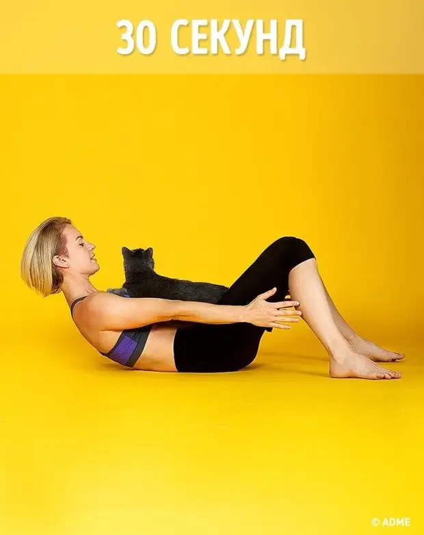 Gymnastique pour chats : prenez un chat et prenez une position allongée