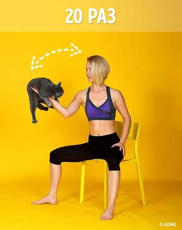 Gymnastique pour chats : prenez un chat et prenez une position allongée