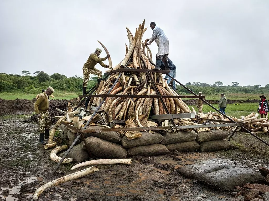 Anthropocene: ສິ່ງທີ່ພວກເຮົາອອກຈາກໂລກ