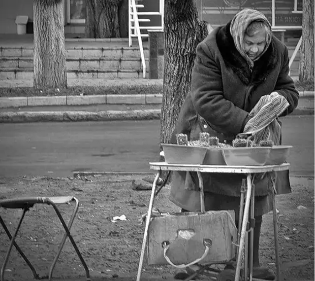 Пионеер и сунцокретово семе русија, семе сунцокрета