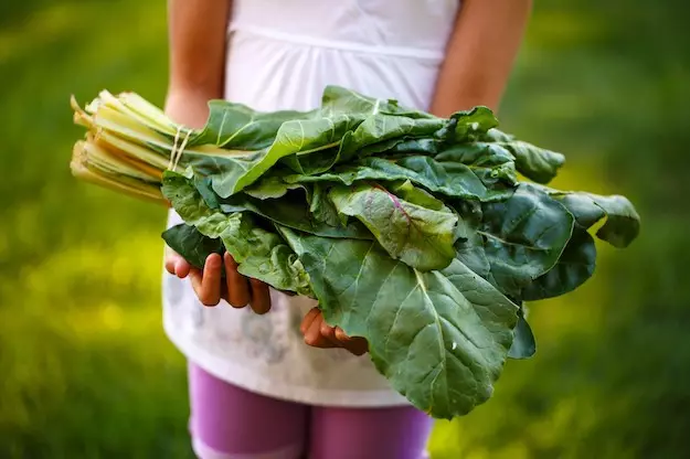 8 ainet, millest veganitel puudus võib olla