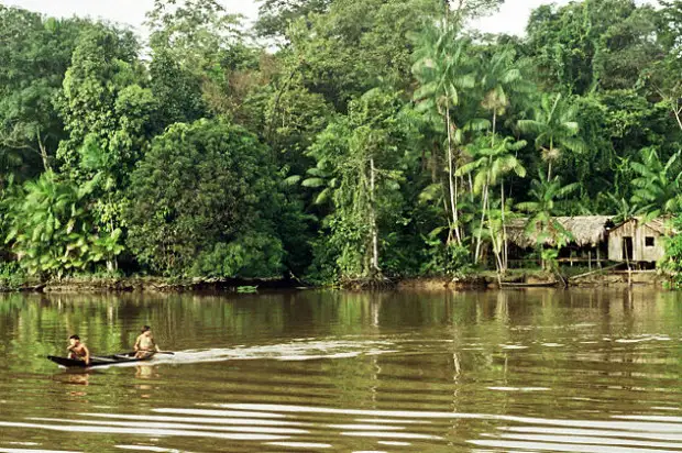 9 idiomes de la Terra amb trets estranys