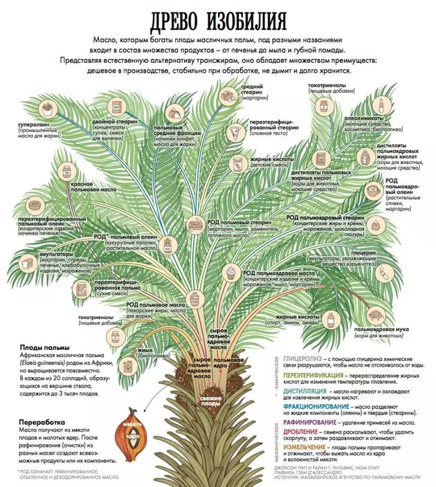 Vaji i palmës: një e keqe e domosdoshme