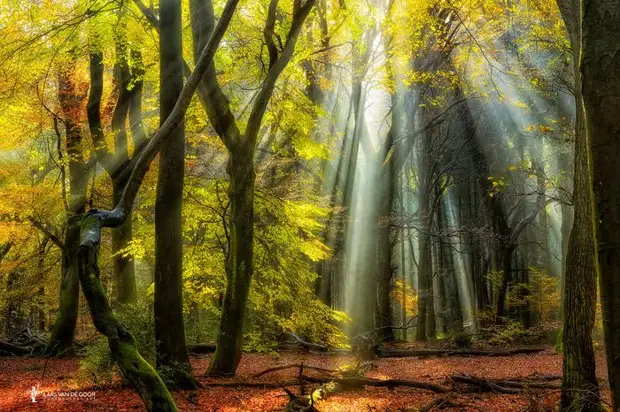 On a envie de se perdre dans les oeuvres de ce photographe.