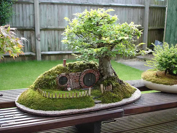 Bonsai Konscht: 15 onheemlech schéin Mini Beem erstallt vu Mënschen