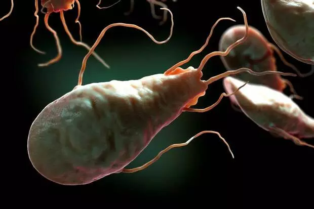Giardia: o teu intestino delgado está libre de parasitos?