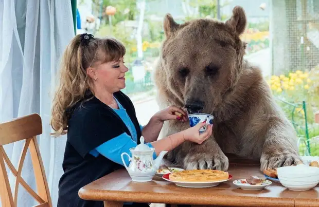 Un enorme oso de 135 libras vive nunha familia rusa como mascota