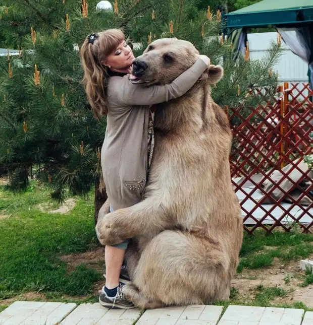 Un enorme oso de 135 libras vive nunha familia rusa como mascota