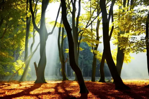 د لارس وان دی ګور لخوا ښکلی طبیعت عکس اخیستل