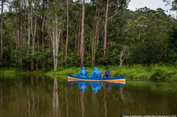 Por que milhares de turistas viajam para Madagascar