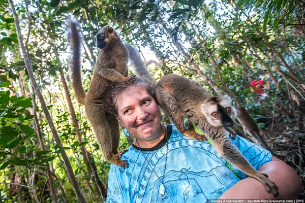 Zergatik bidaiatzen duten milaka turistak Madagaskarrera