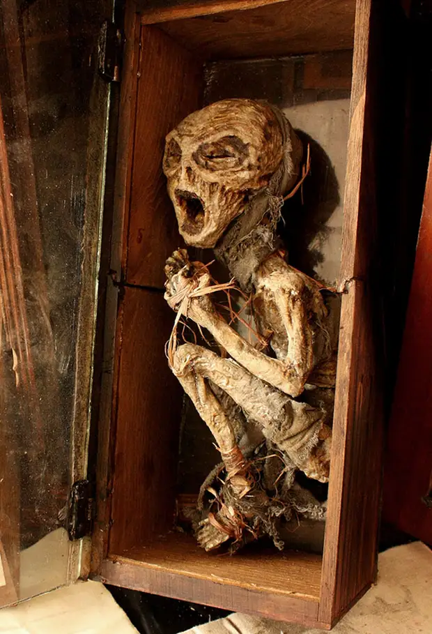 Иске Лондон йортының подвалында табылган серле җан ияләренең скелетлары
