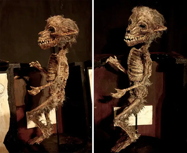 Szkielety tajemniczych stworzeń odkryto w piwnicy starego londyńskiego domu