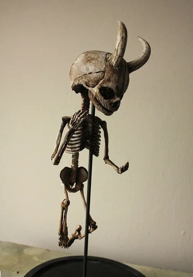 Skeletoj de misteraj estaĵoj malkovritaj en la kelo de malnova Londondomo