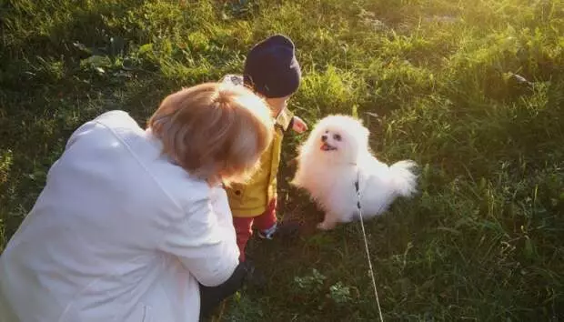 정신 분열증의 예방으로 개