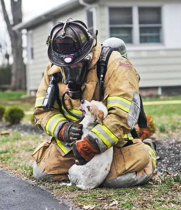 Patugas pemadam kebakaran anu nyalametkeun pets