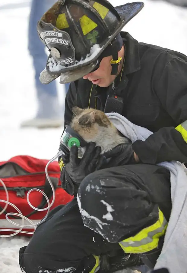 Ugniagesiai gelbėjo gyvūnus