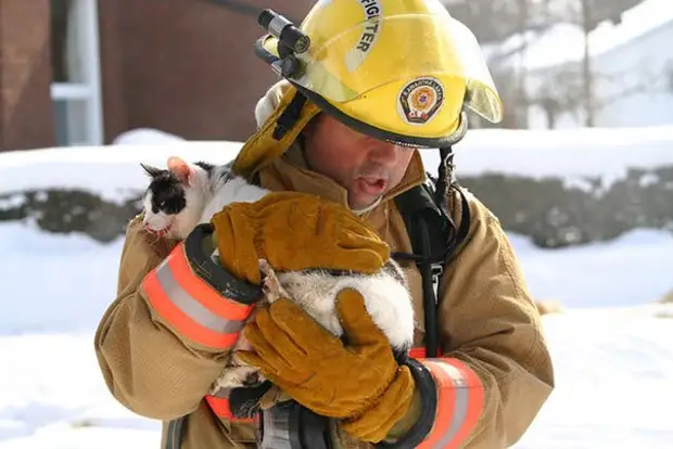 آتش نشانانی که حیوانات خانگی را نجات دادند